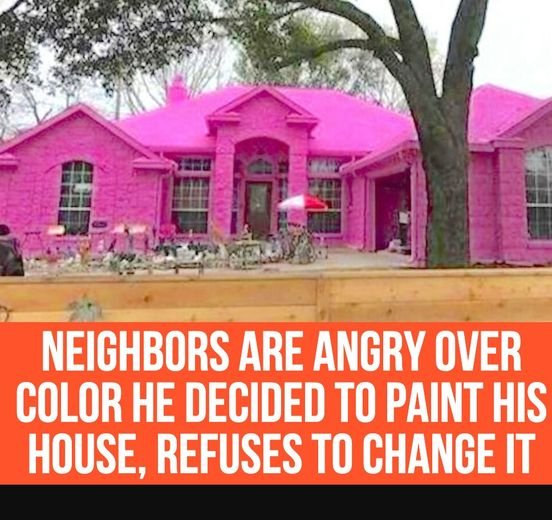 Neighbors Are Angry Over Color He Decided To Paint His House, Refuses ...
