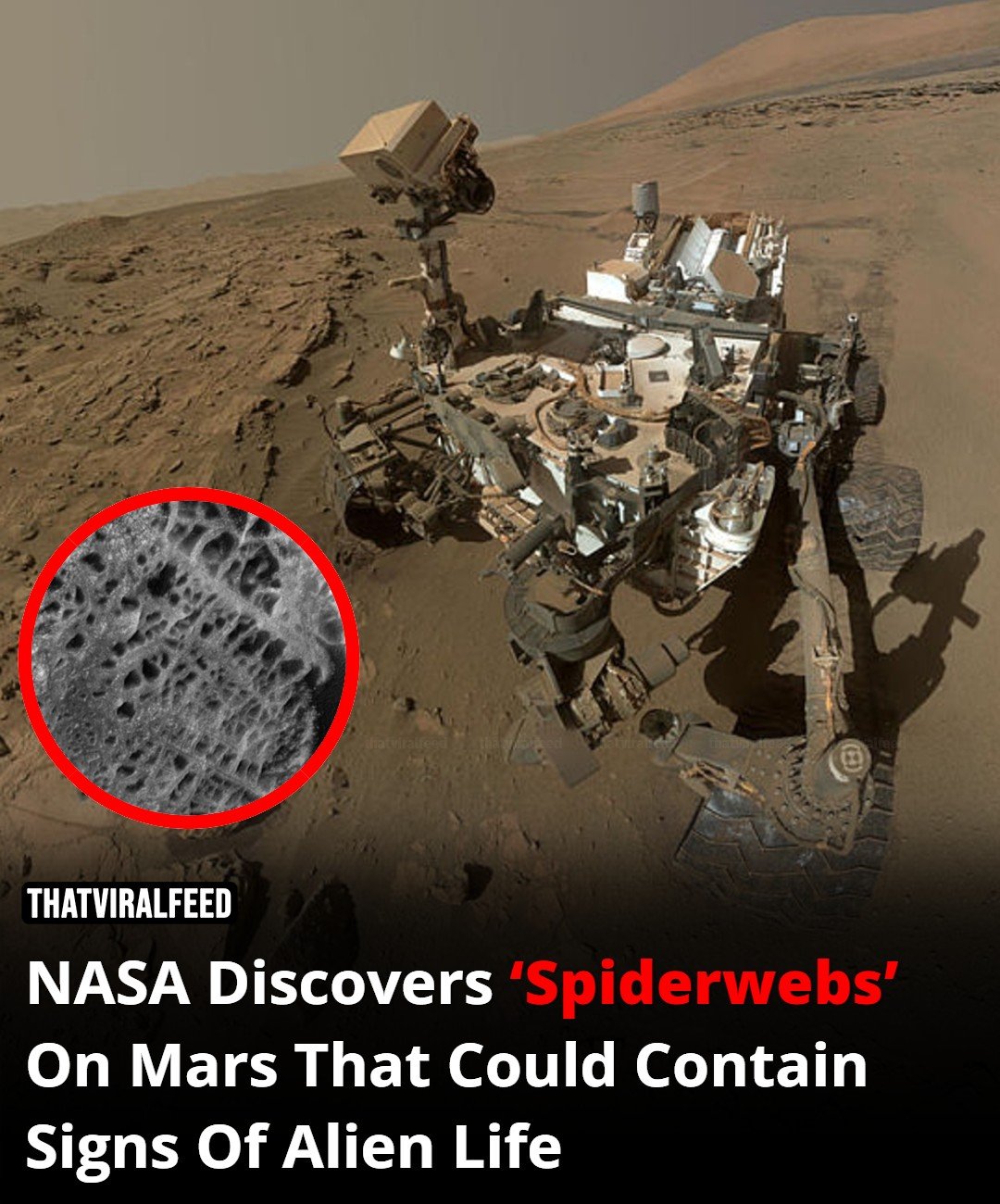 NASA Discovers ‘Spiderweb’ Formations On Mars That Might Hold Evidence ...