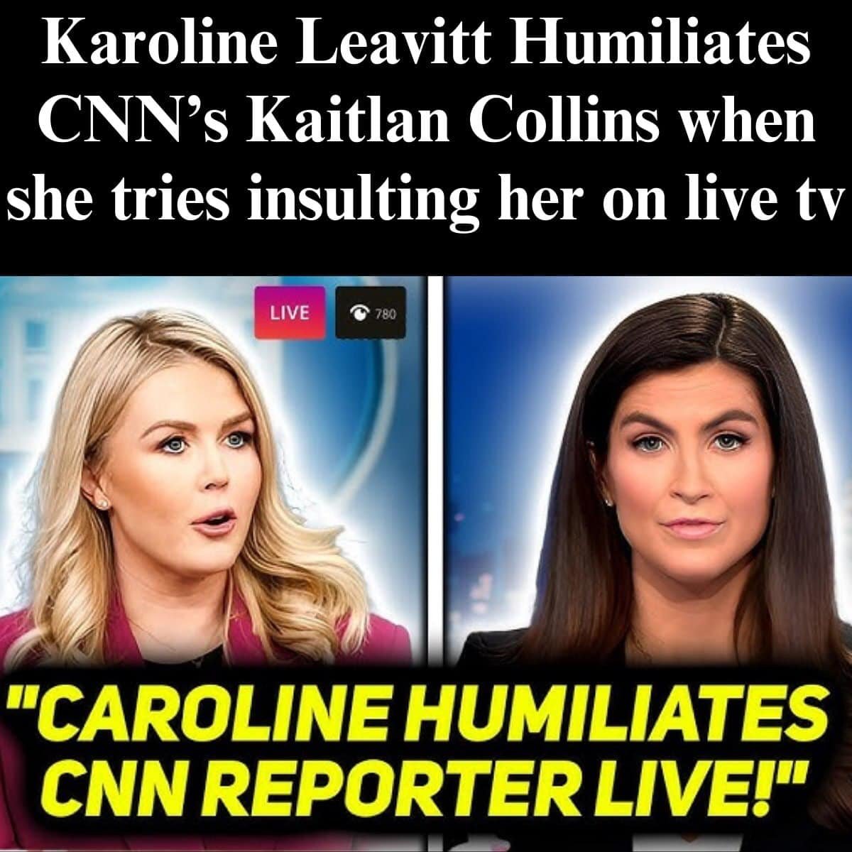 Leavitt Swats Down CNN Reporter Asking About Elon Musk - FS And Humor Side