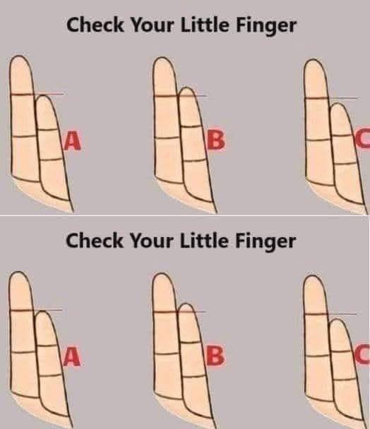 What Your Pinky Finger Reveals: When Ancient Palmistry Meets Modern ...