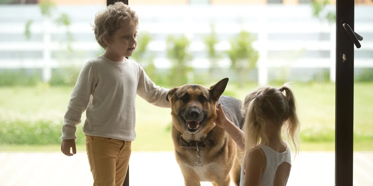 My Dog Wouldn’t Stop Howling When the Kids Left with My Mother-in-Law ...